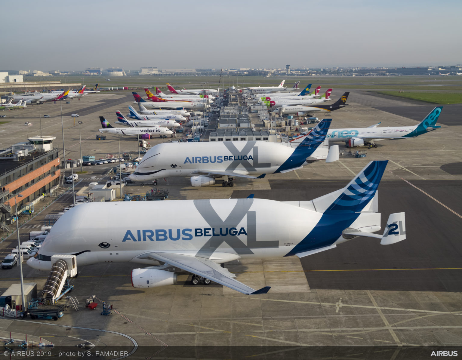 Airbus is setting up a cargo airline with its iconic Beluga aircraft ...