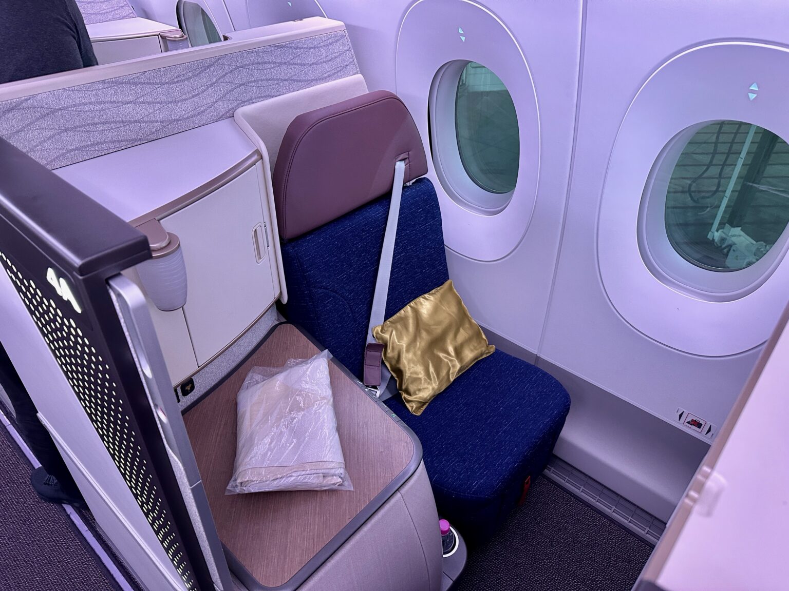 Review: Air India Airbus A350 Business Class (Dubai to Delhi) - Live ...